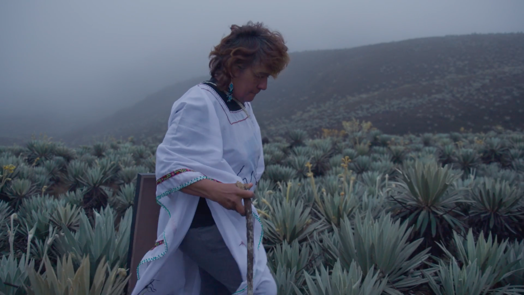 Le troisième volet de la trilogie de Felipe Monroy, Hijos del silencio ...